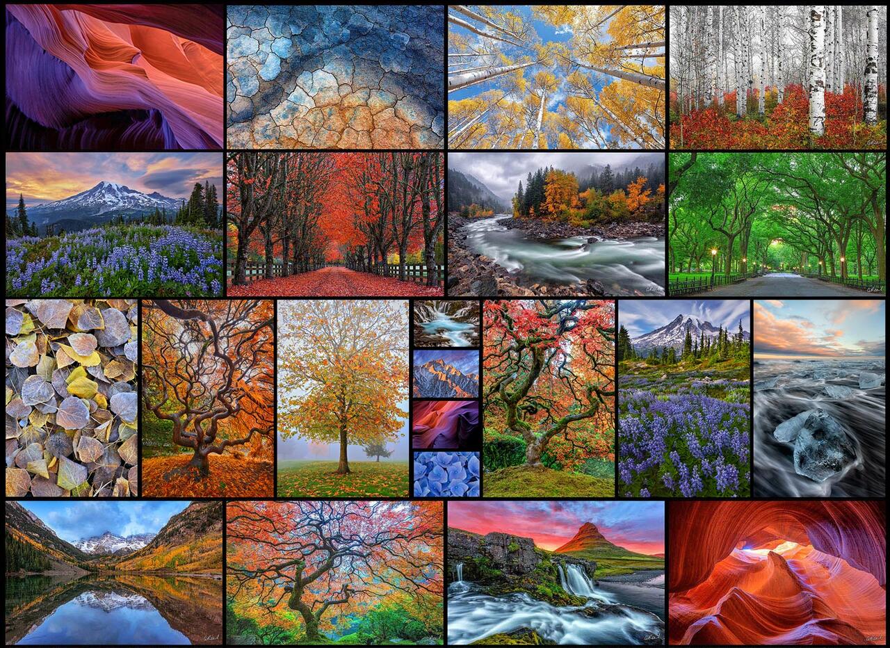 Limited Edition Fine Art Photography | Aaron Reed