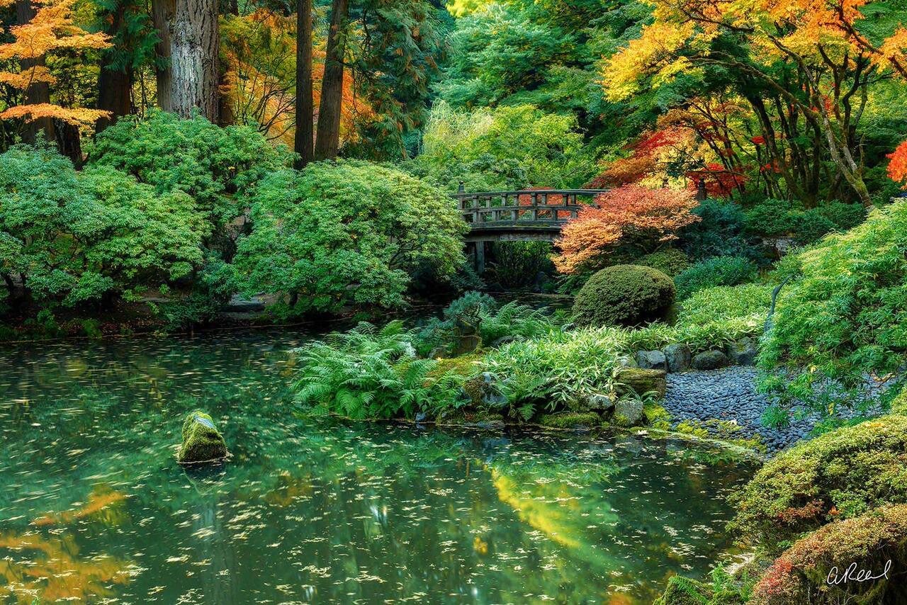 Oregon State Landscape & Nature Photography | Aaron Reed