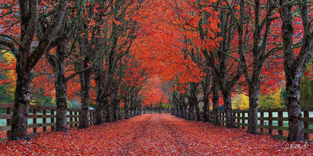 Soho Photography Galleries New York | Aaron Reed