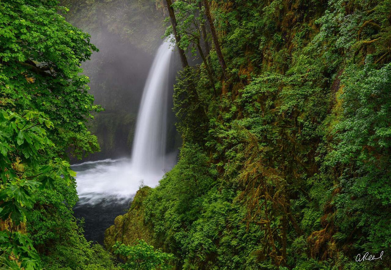 Oregon State Landscape & Nature Photography | Aaron Reed