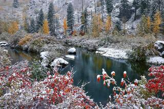 Winter Nature & Landscape Photography Art | Aaron Reed