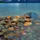 On The Rocks | Grand Tetons National Park | Fine Art Prints By Aaron Reed