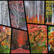 Fine Art Prints By Aaron Reed