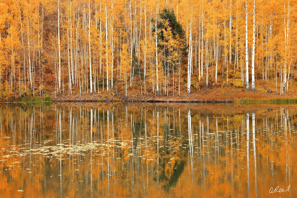 Newest Work | Fine Art Photography by Aaron Reed | Fine Art Prints By ...