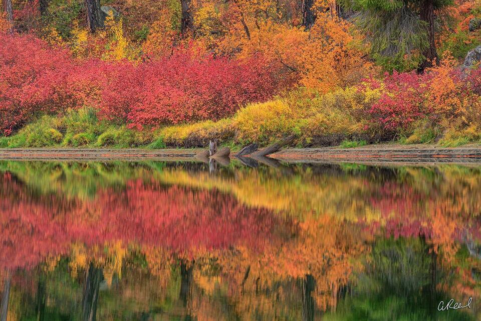 Abstract Artwork Photography Wall Art | Fine Art Prints By Aaron Reed