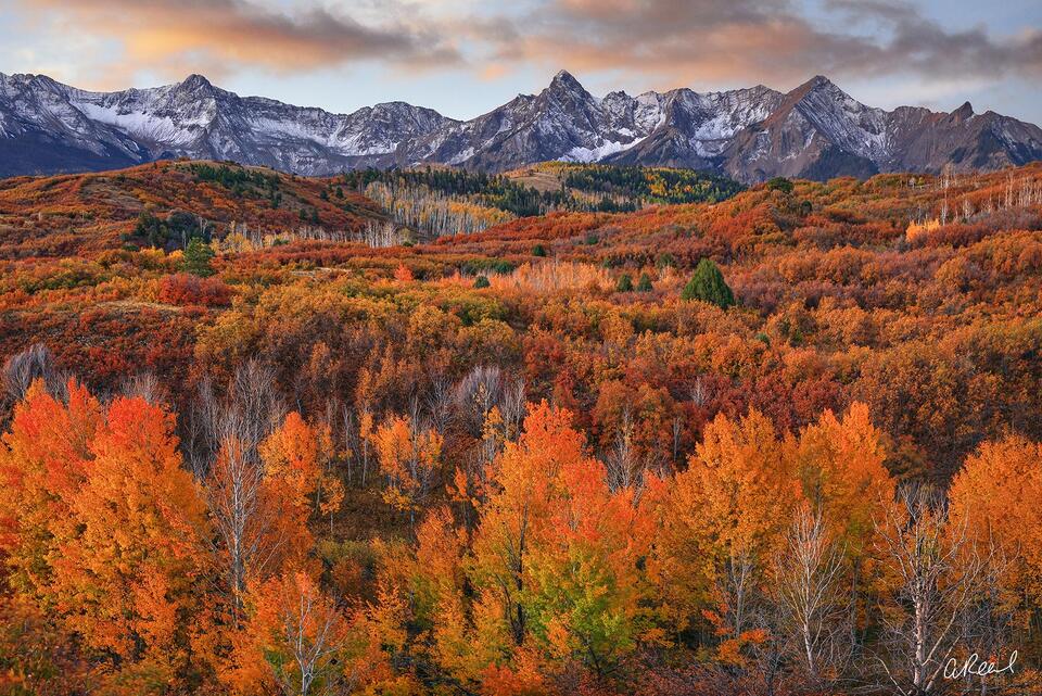 Newest Work | Fine Art Photography by Aaron Reed | Fine Art Prints By ...