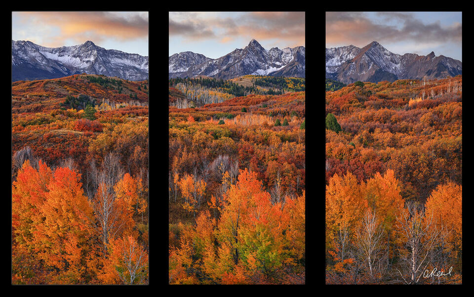 Triptych Wall Art | Fine Art Prints By Aaron Reed