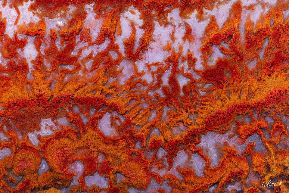 Contemporary Abstract Photography For Sale | Fine Art Prints By Aaron Reed