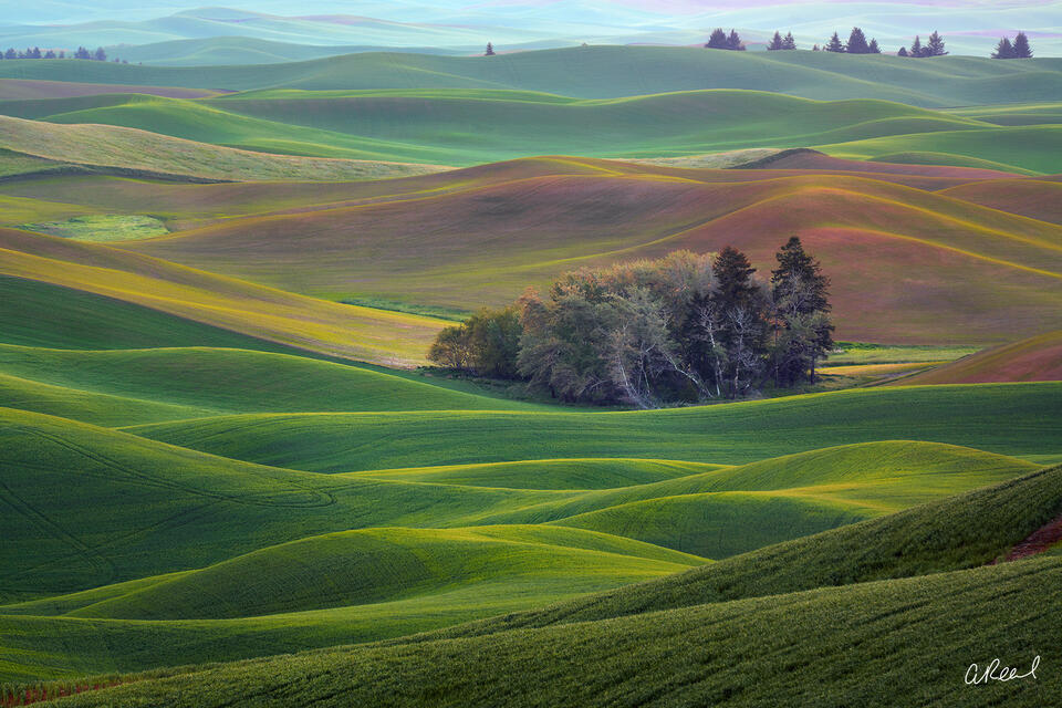 Mountain Pictures | The Art of Nature | Fine Art Prints By Aaron Reed