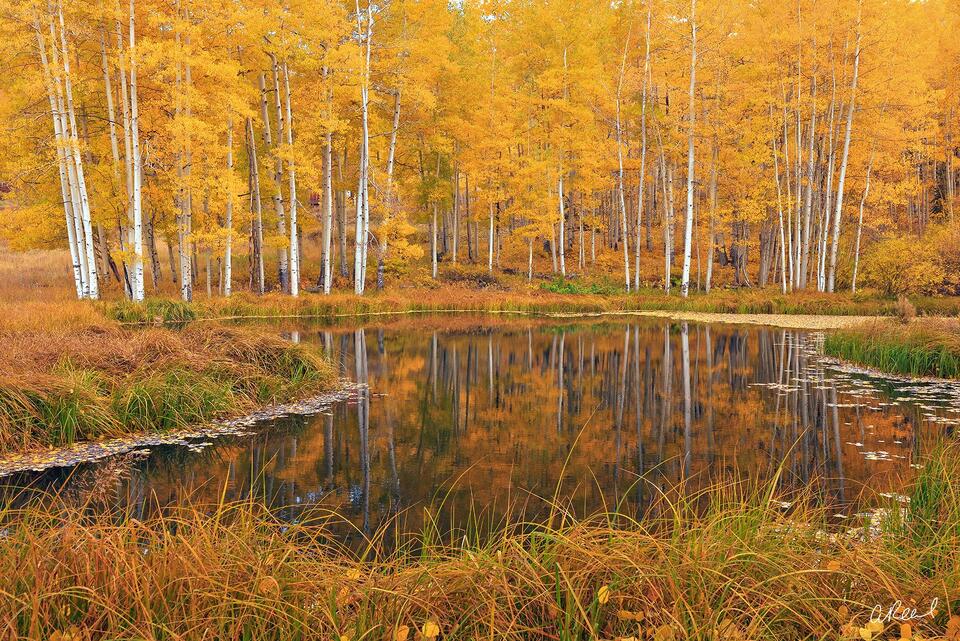 Newest Work | Fine Art Photography by Aaron Reed | Fine Art Prints By ...