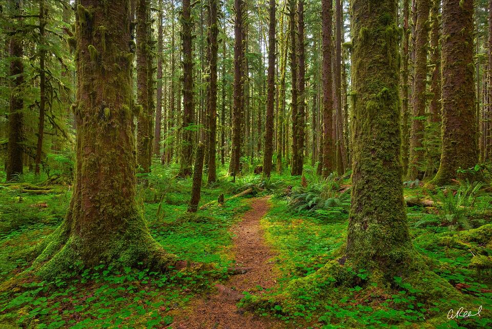 Newest Work | Fine Art Photography by Aaron Reed | Fine Art Prints By ...