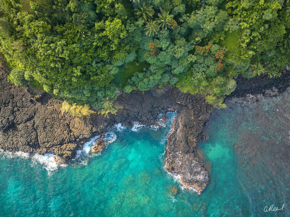 Island Art Photography