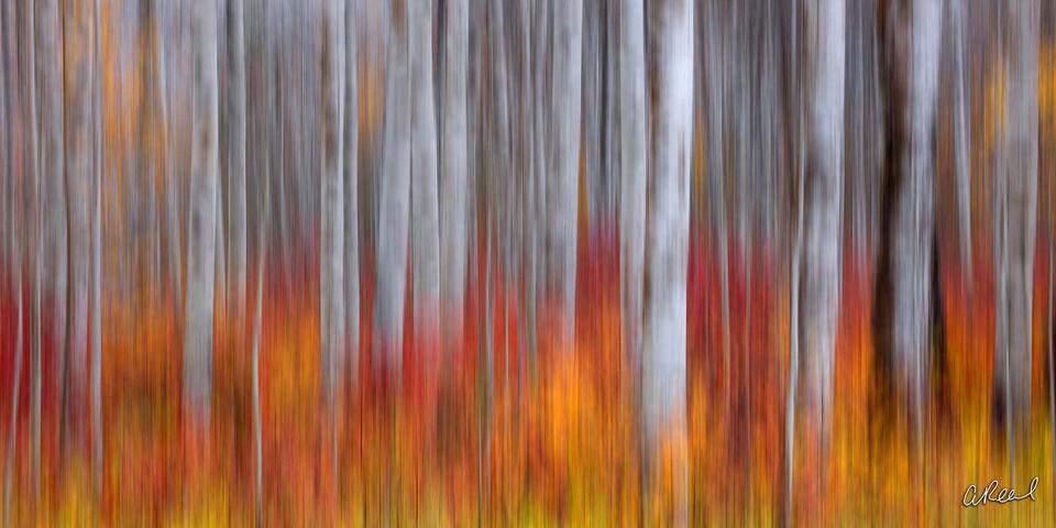 Panoramic Photography Prints For Sale | Fine Art Prints By Aaron Reed