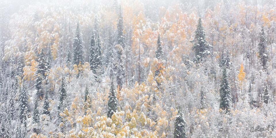 Panoramic Photography Prints For Sale | Fine Art Prints By Aaron Reed