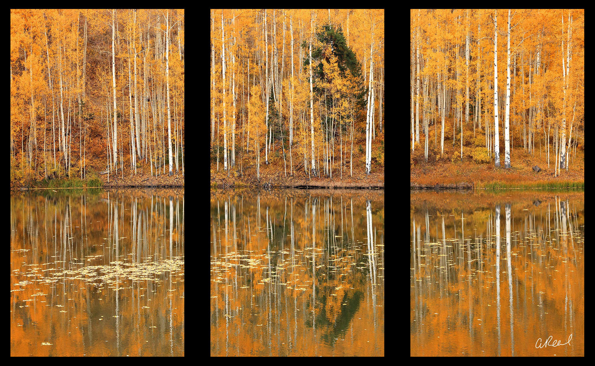 1948F Triptych | Telluride, CO | Fine Art Prints By Aaron Reed