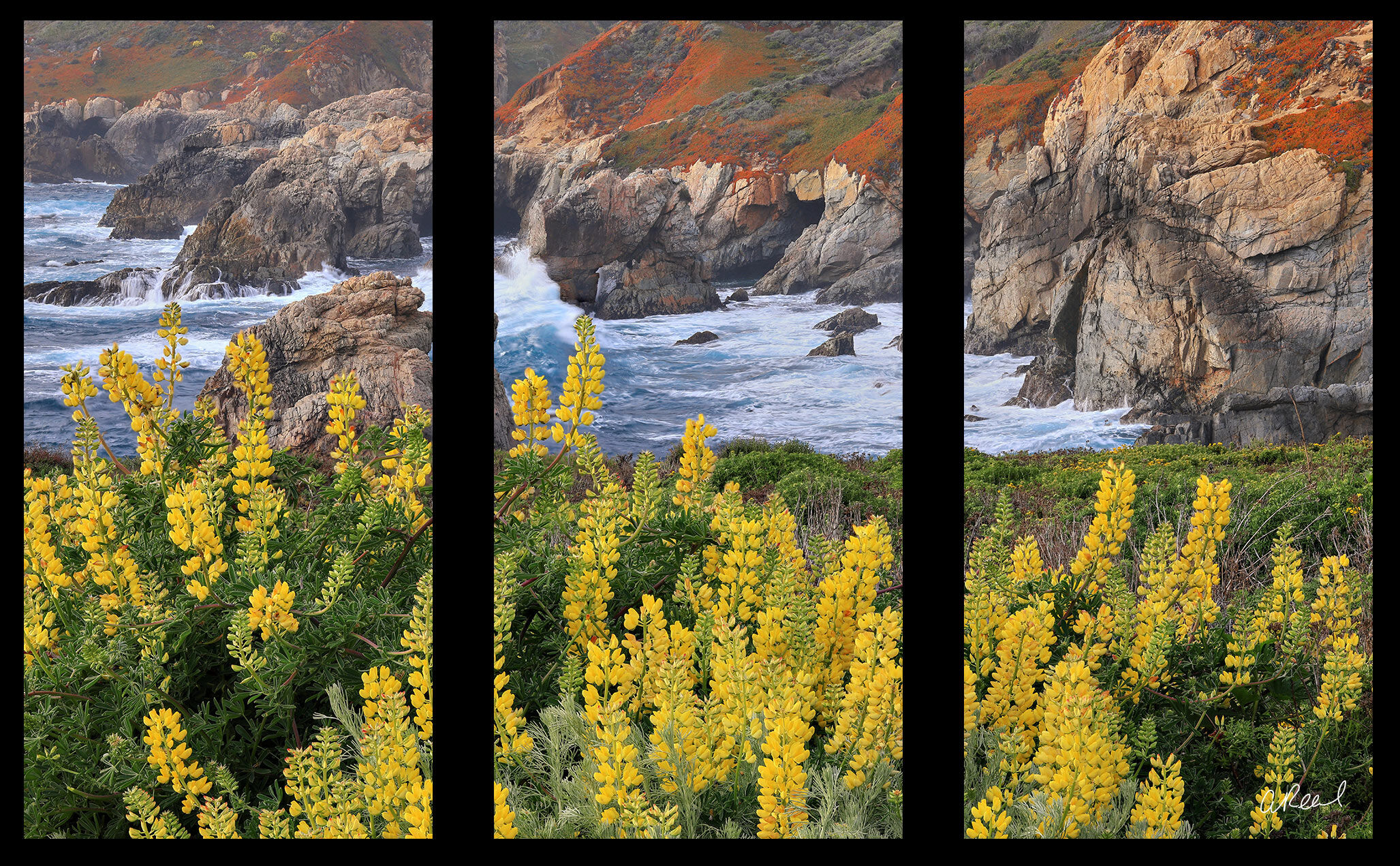 California Dreaming Triptych | Garapata State Park, CA | Fine Art ...