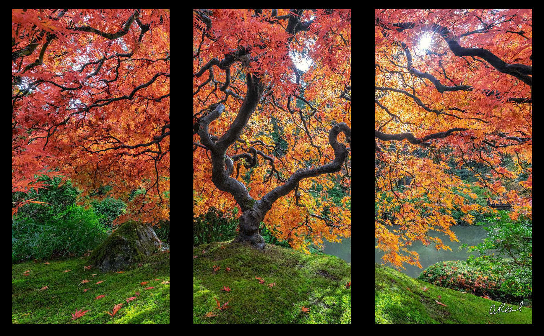 Heavens Gate Triptych | Portland Japanese Garden | Fine Art Prints By ...