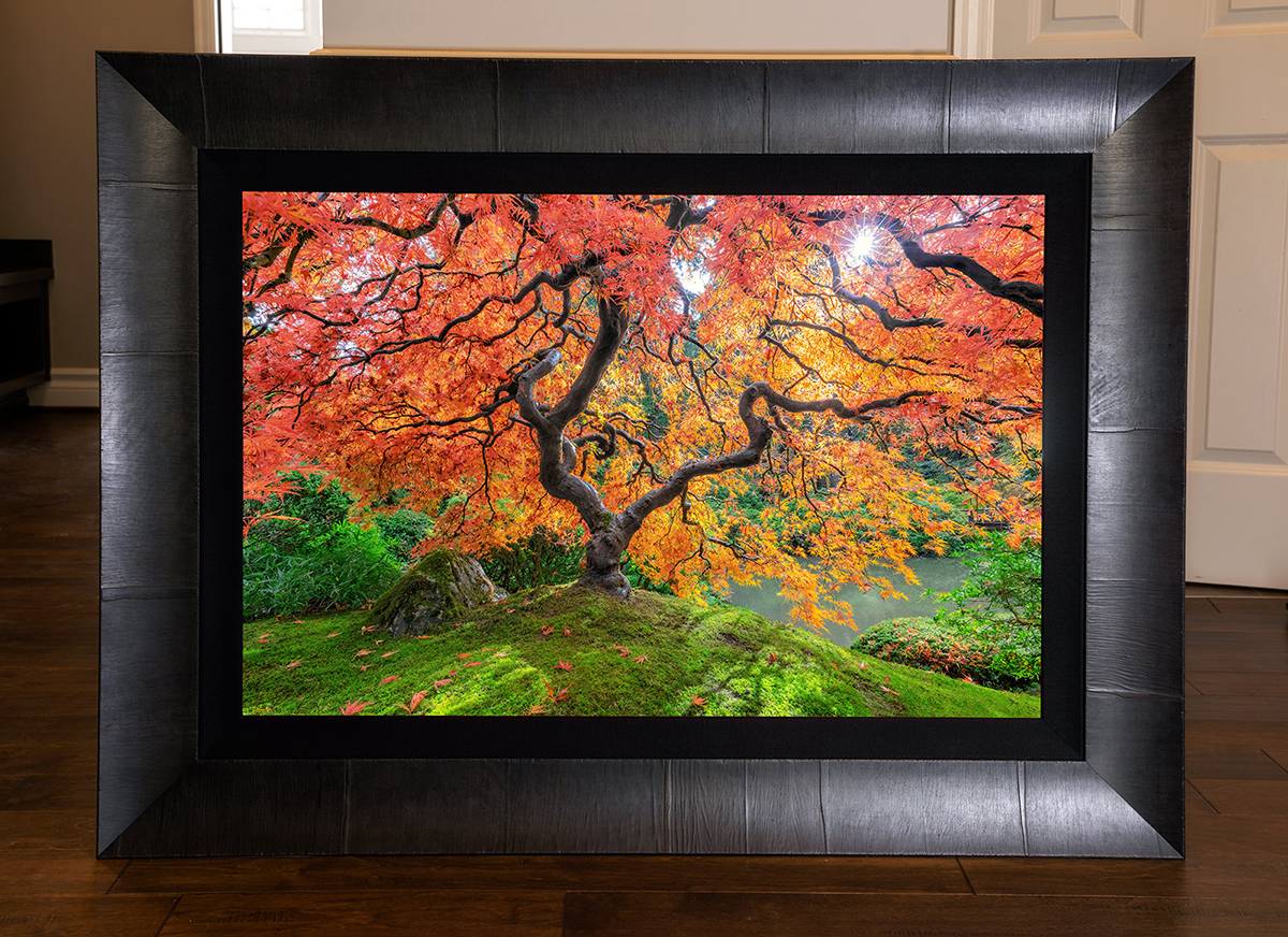Aaron Reed Luxury Fine Art Photography Prints | Aaron Reed Luxury Fine Art