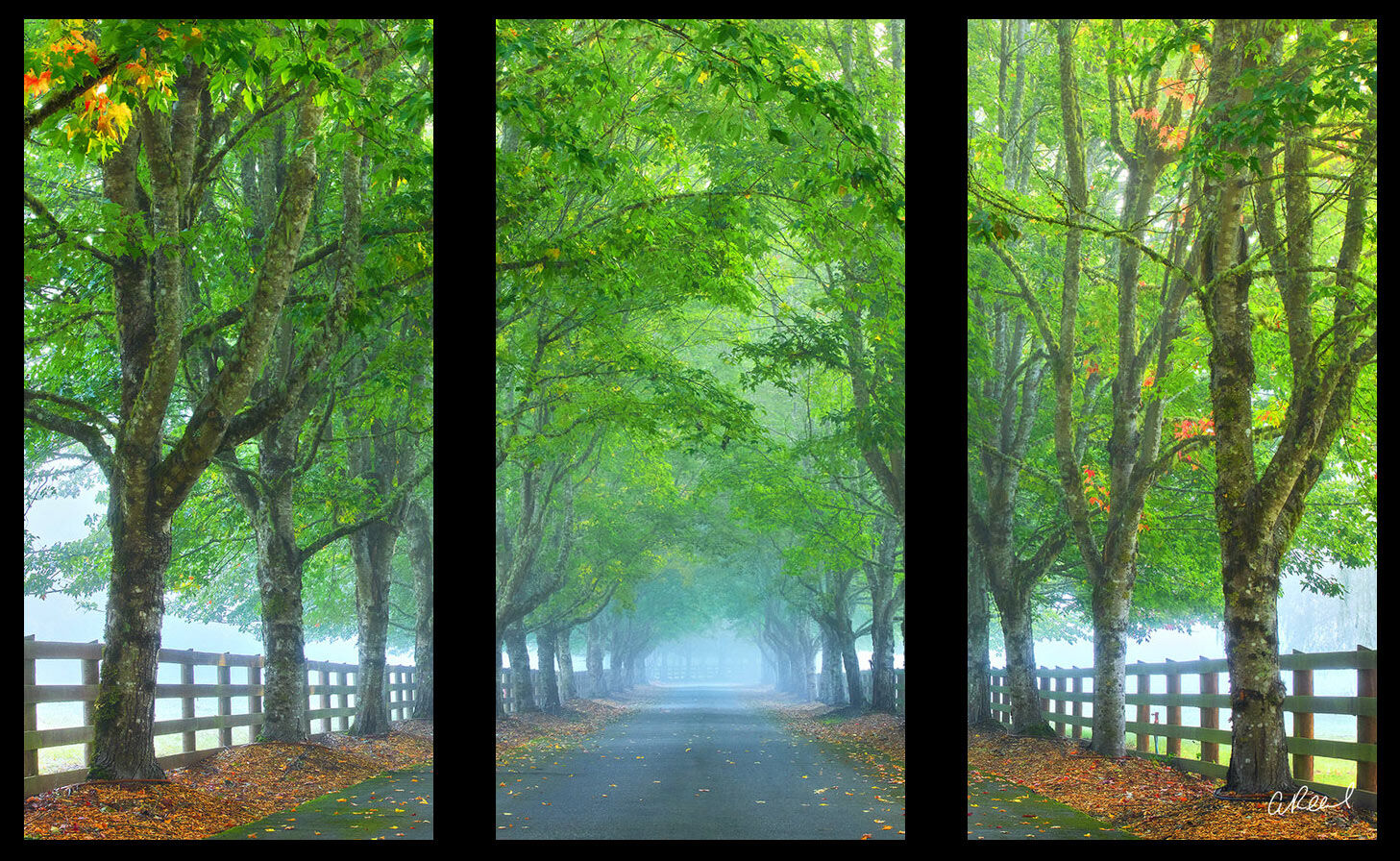 Into The Silence Triptych | North Bend, WA | Fine Art Prints By Aaron Reed