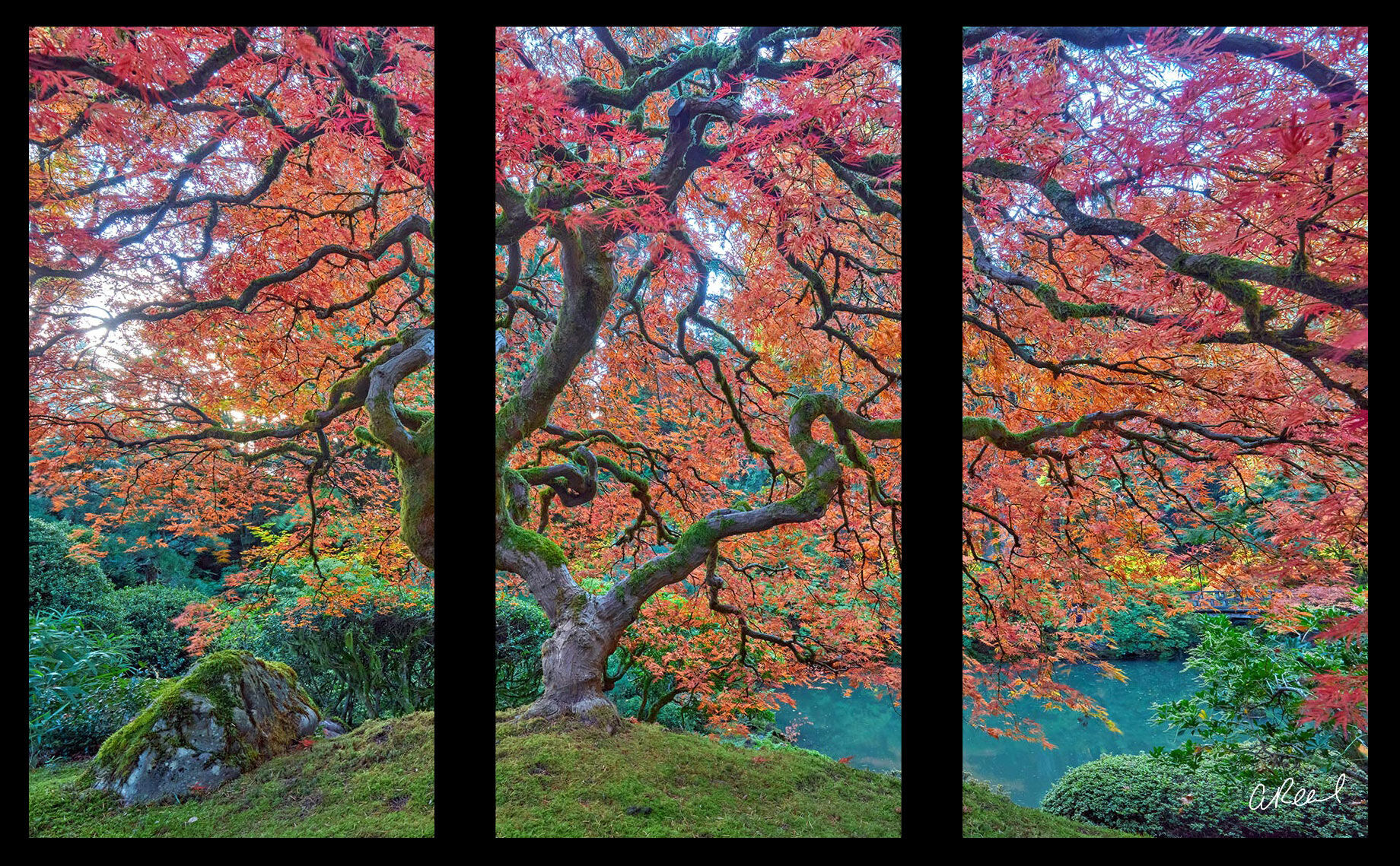 Legendary Triptych | Portland Japanese Garden | Fine Art Prints By ...