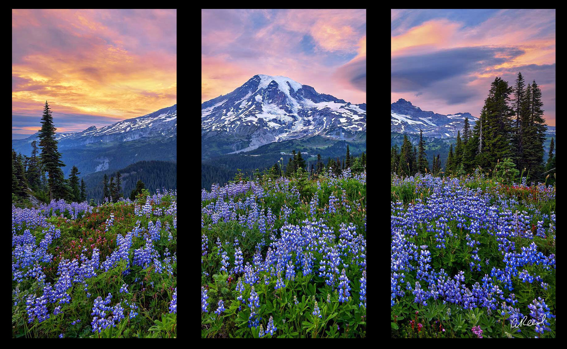 On Earth Triptych | Mt Rainier National Park | Fine Art Prints By Aaron ...