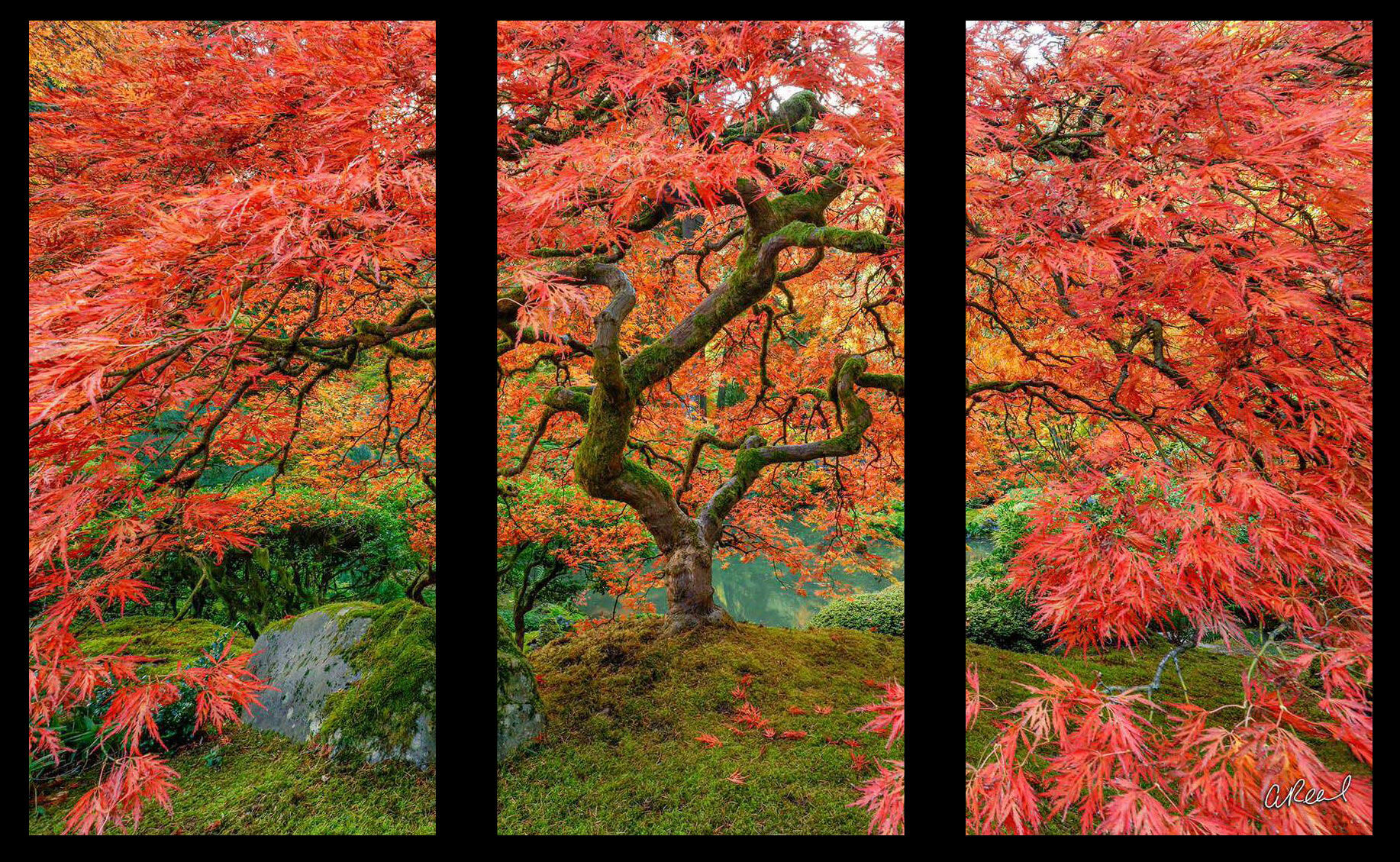 Triptych Wall Art | When Three's Never A Crowd | Fine Art Prints By ...