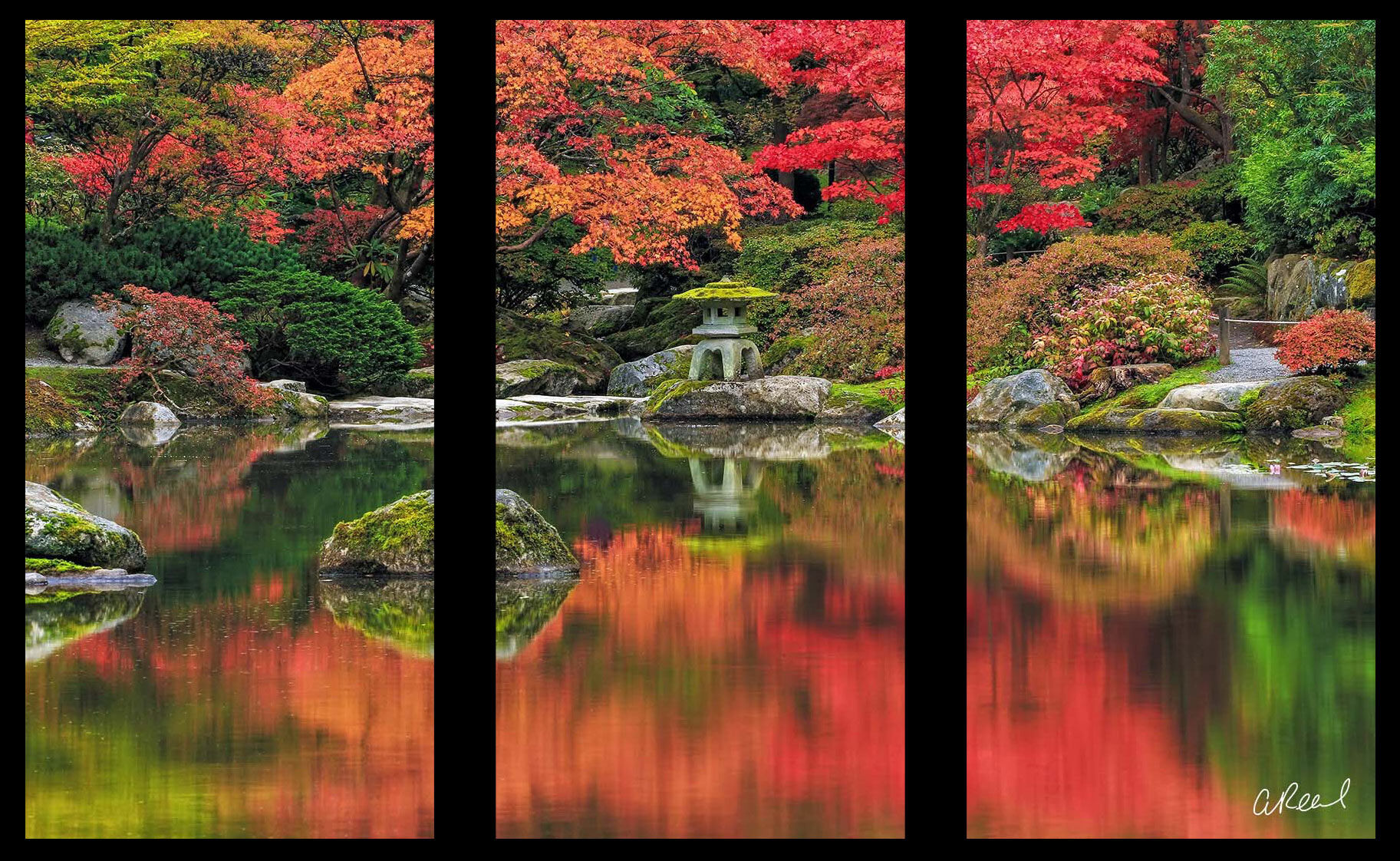 Suspended Animation Triptych | Seattle Japanese Garden | Fine Art ...