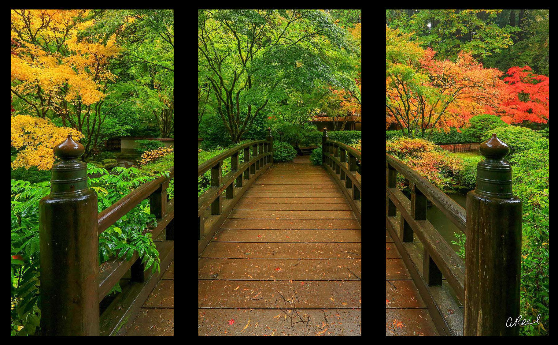 Zerenity Triptych | Portland Japanese Garden | Fine Art Prints By Aaron ...