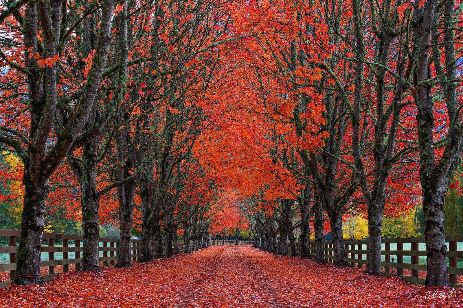 Top Ten Most Influential Nature Photographers Of All Time | Fine Art ...